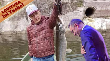 BĂ, EȘTI PROST? Chiar vrei ȘEF la SRI? - Lovitura de Presa